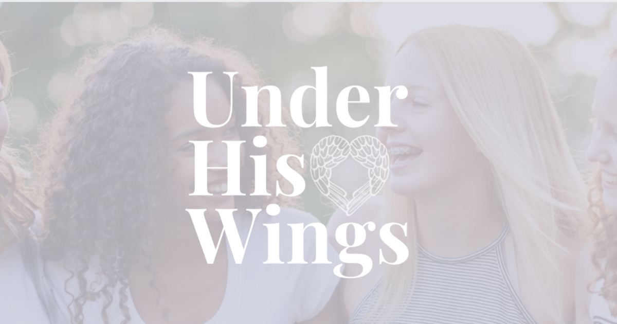 Under His Wings Inc - Support Under His Wings