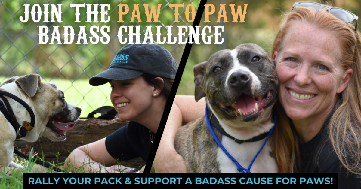 BADASS ANIMAL RESCUE INC - Badass 'Paw to Paw' Fundraising 2024