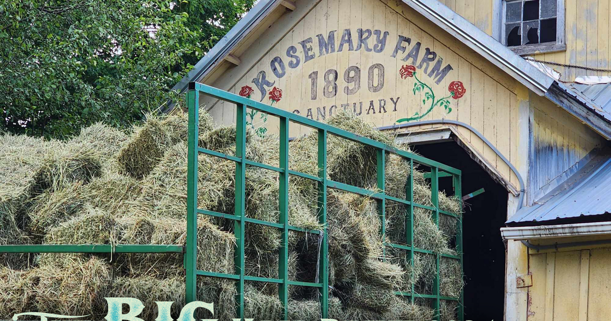 Rosemary Farm Sanctuary Inc. - You and 4,999 Friends