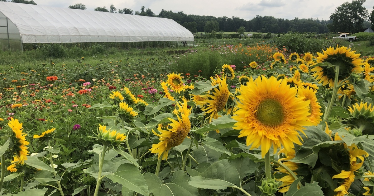 Common Ground Farm Inc - General Donations