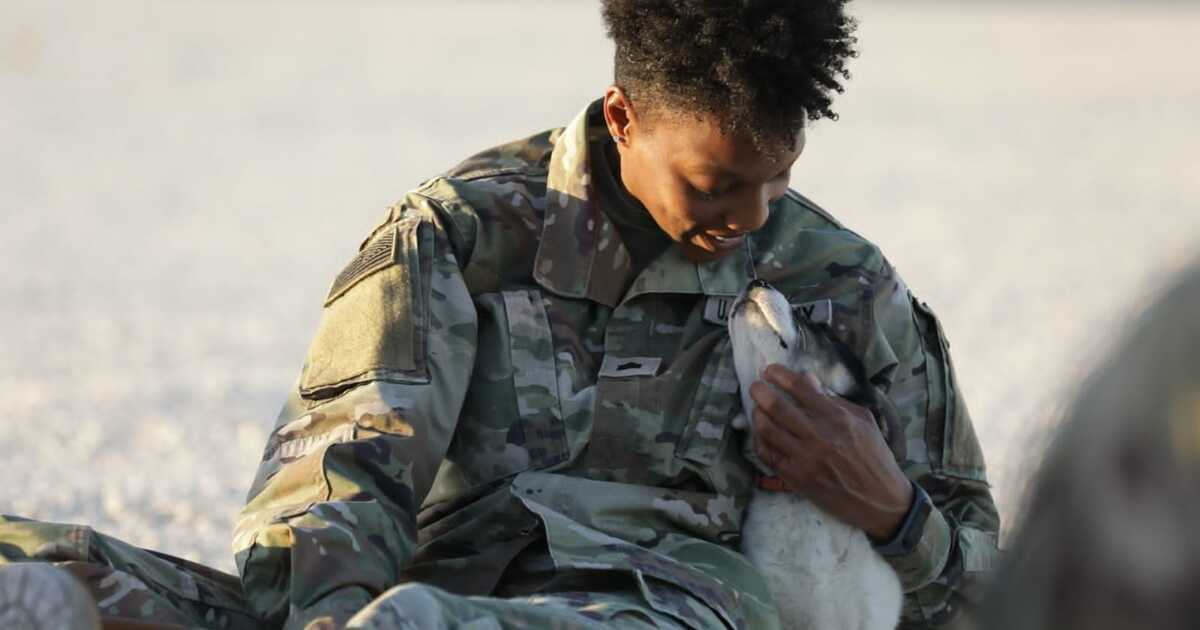 PAWS OF WAR INC - McNamara 2024 Golf Outing