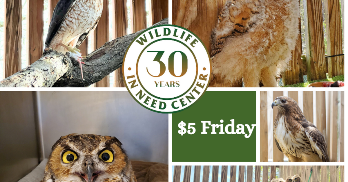 Wildlife in Need Center - $5 Friday! Today is the day! July26!