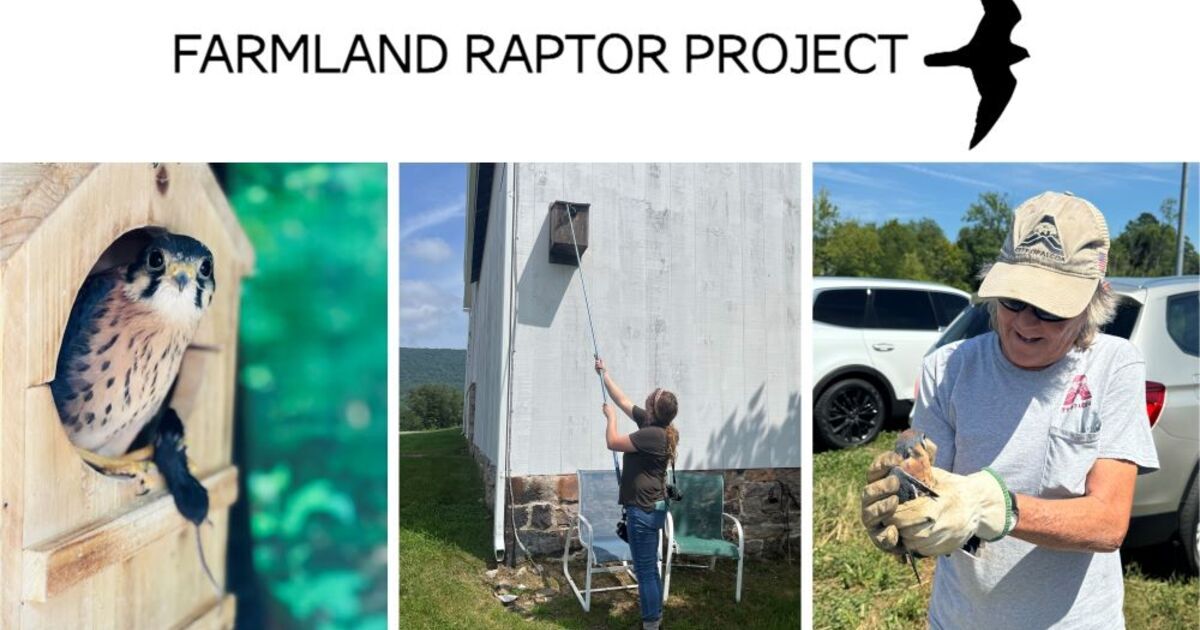 Foothills Land Conservancy - Farmland Raptor Project