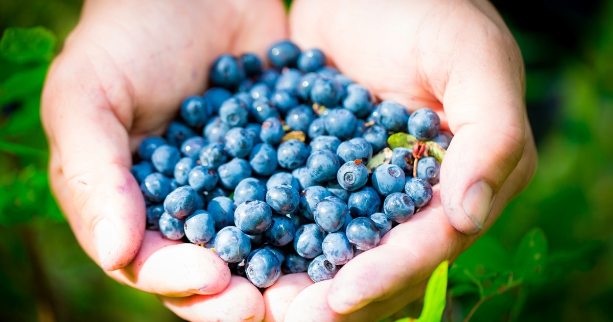 Cook Inletkeeper - Make an Impact with your PFD