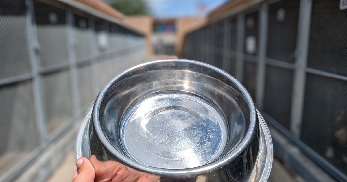 Cincinnati Animal CARE - Pet Wants The Pack Gives Back Initiative