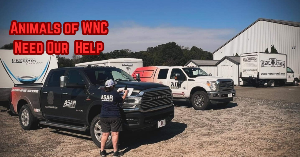 RESCUE RANCH INC - Helene Disaster-Western NC Animal Rescue Support