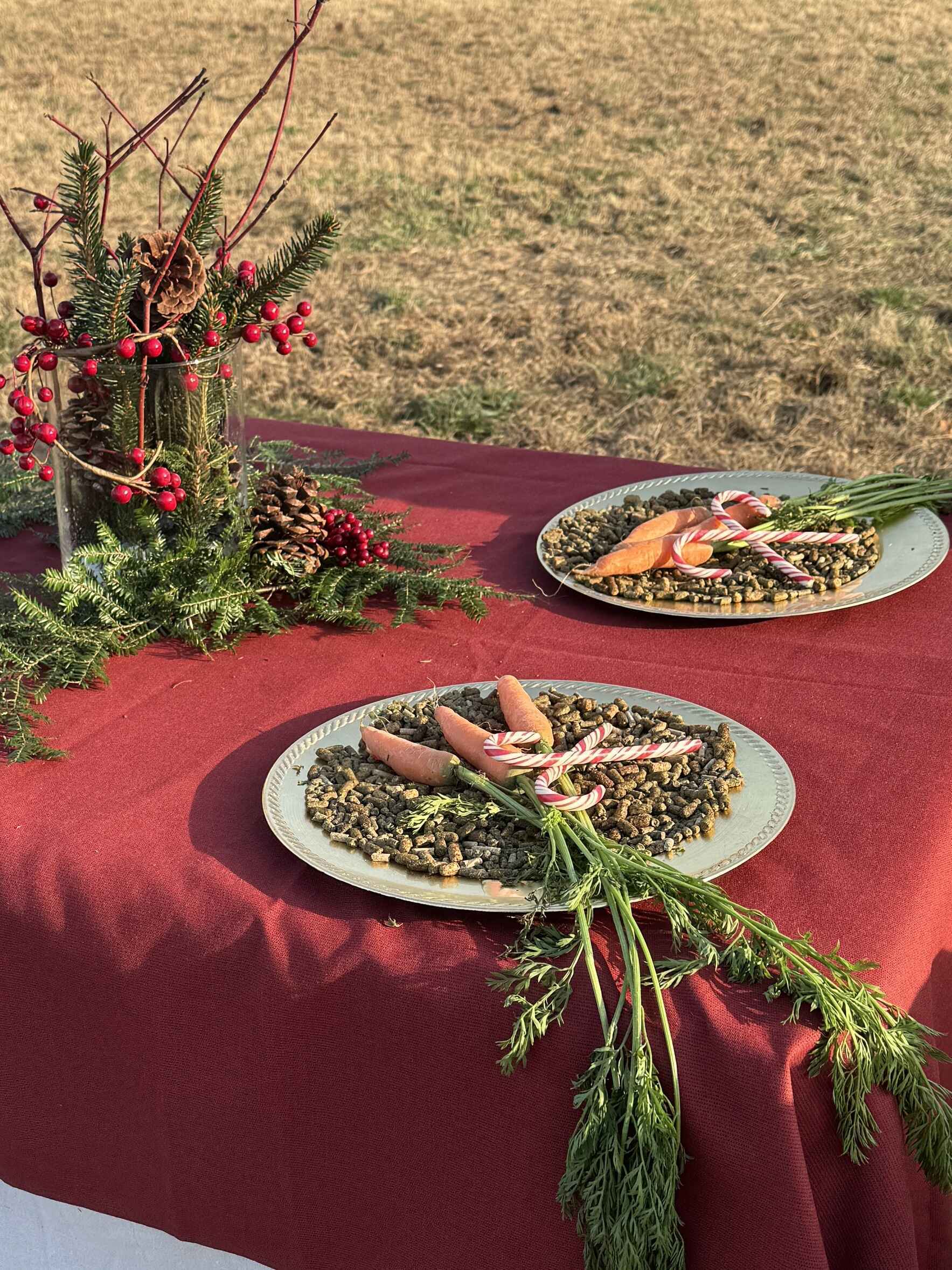 Tomten Farm and Sanctuary of New Hampshire - 2024 Giving Tuesday, Feed ...