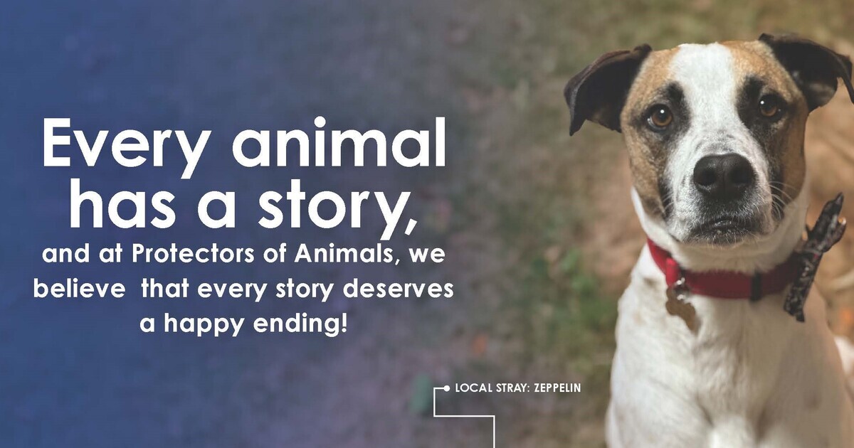 Protectors of Animals Inc. - Every animal has a story...