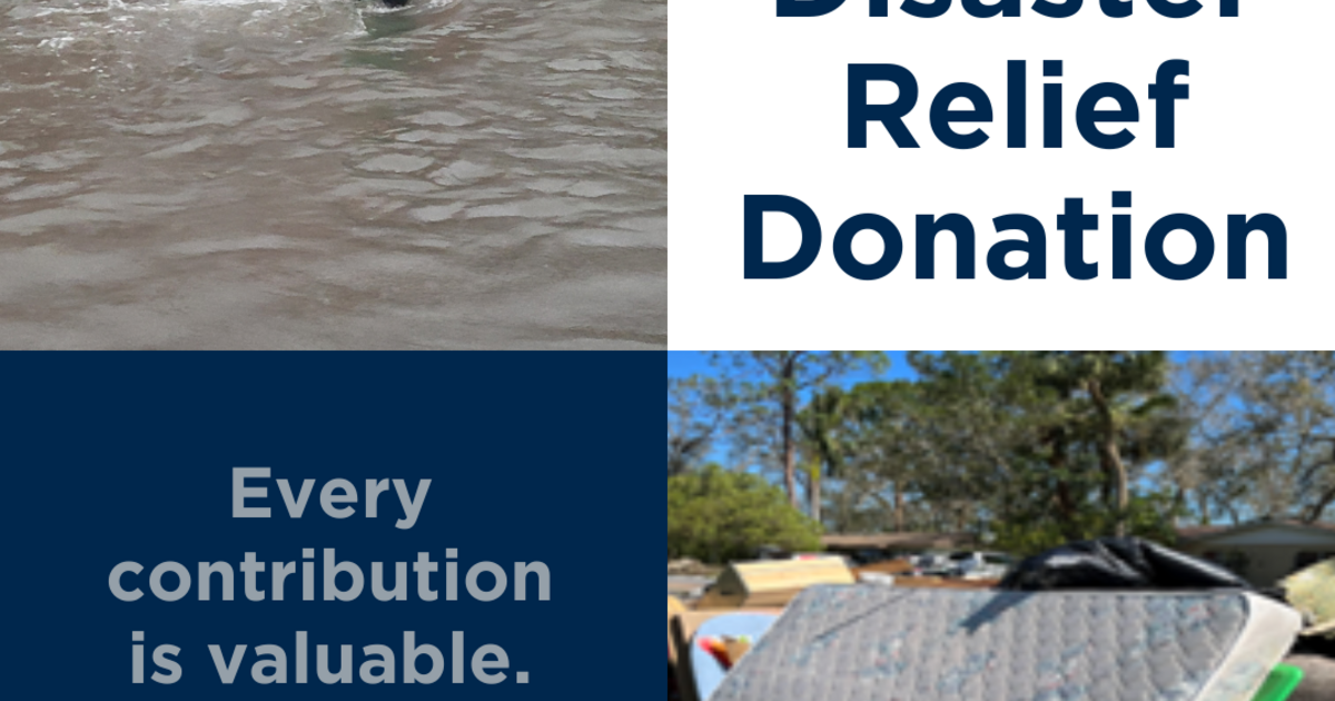 THE FOUNDATION FOR LEE COUNTY PUBLIC SCHOOLS INC - Disaster Relief Fund