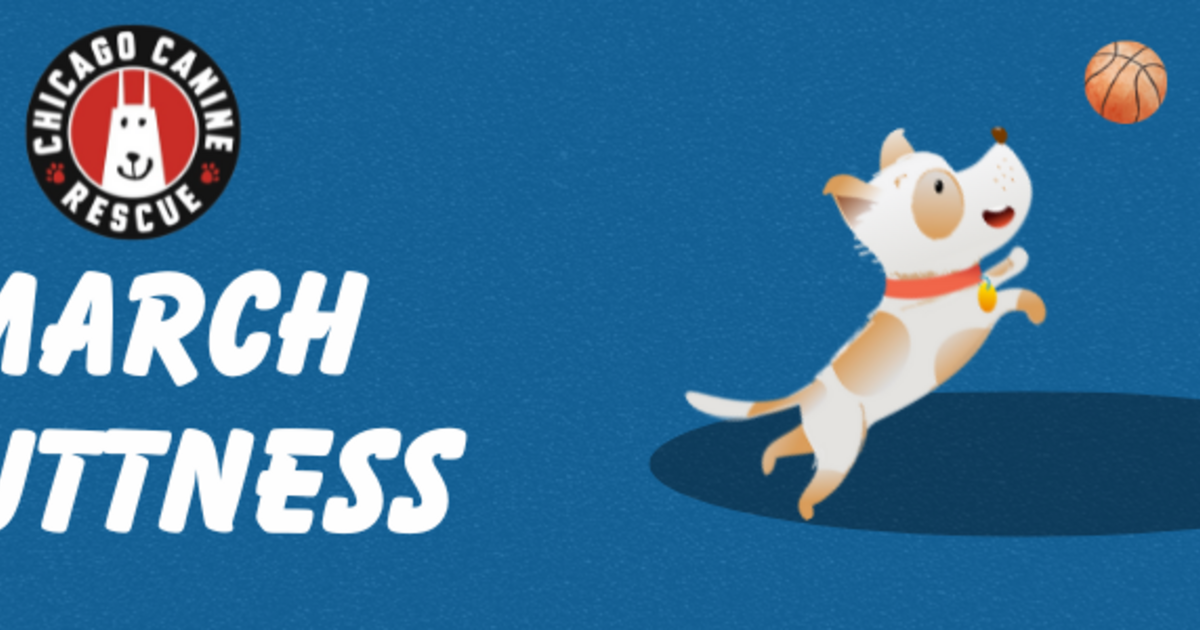 Chicago Canine Rescue Foundation - March "Muttness" 2025