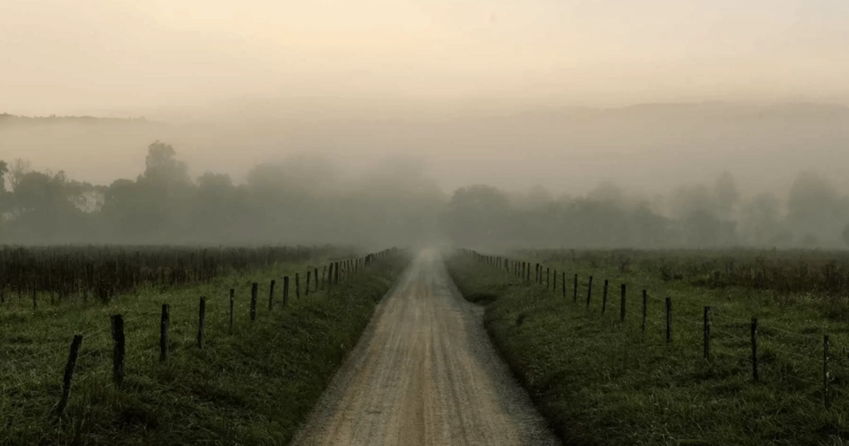 Southern Documentary Fund - Come Here to Go Yonder