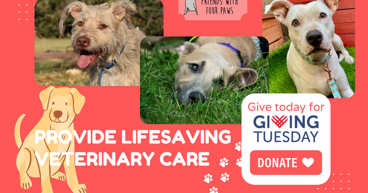 FRIENDS WITH FOUR PAWS FOUNDATION OF THE CHICKASHA ANIMAL WELFARE DI ...