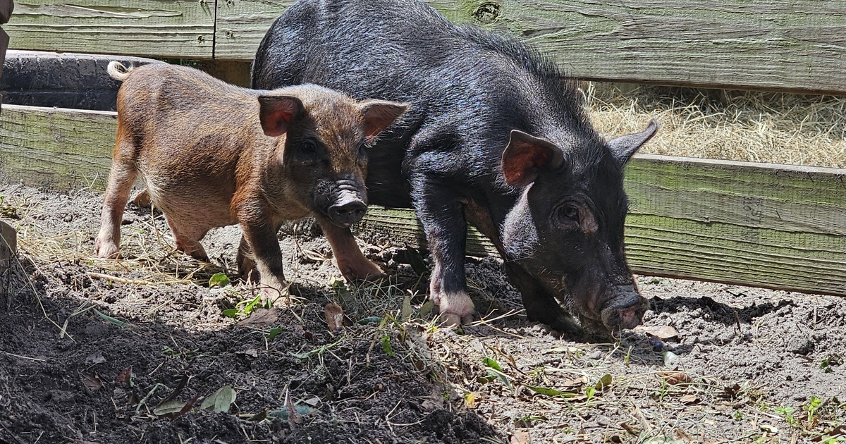 Epic Outreach Inc - Giving Tuesday 2024