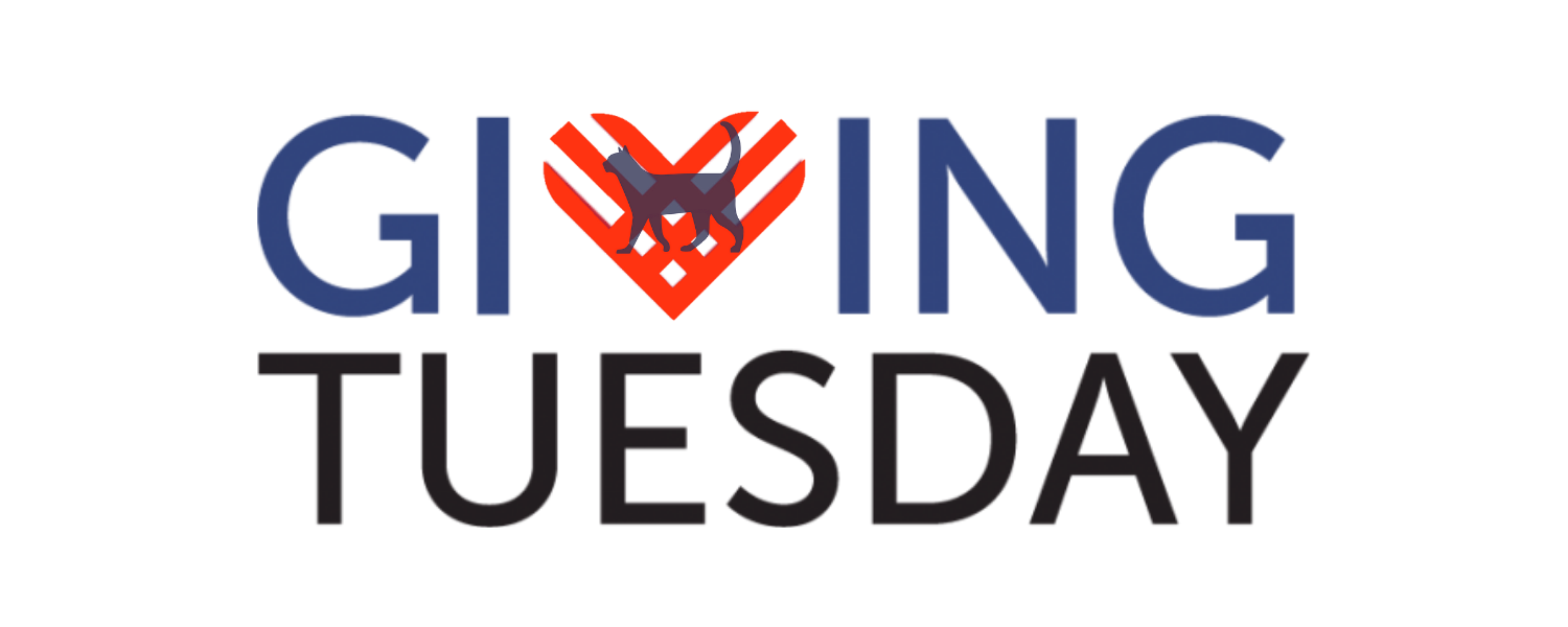 Second Chance Sheridan Cat Rescue - #GivingTuesday 2024