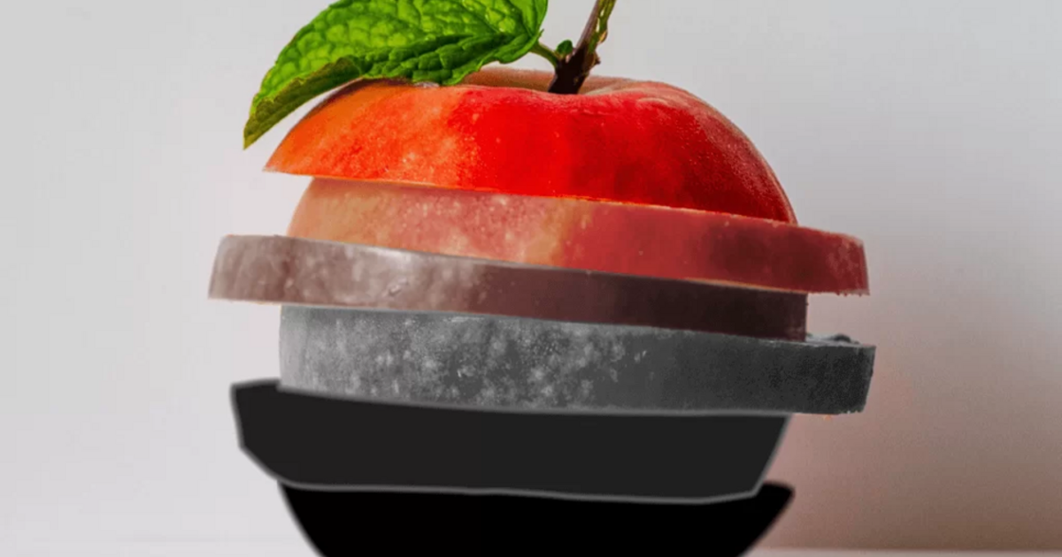 Southern Documentary Fund - The Mind's Eye