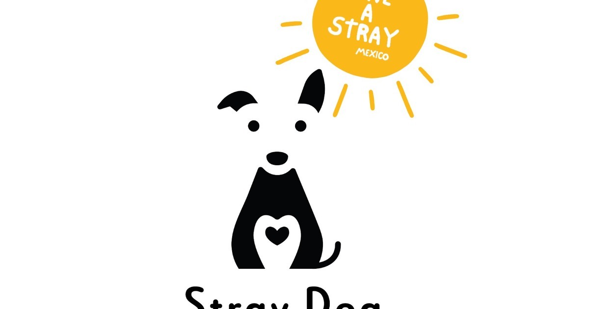 Stray Dog Support Inc - Save A Stray Mexico