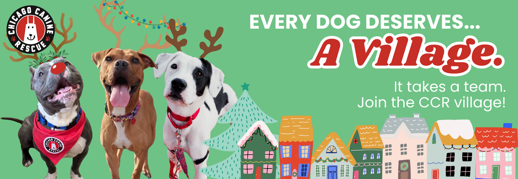 Chicago Canine Rescue Foundation - Every Dog Deserves A Village