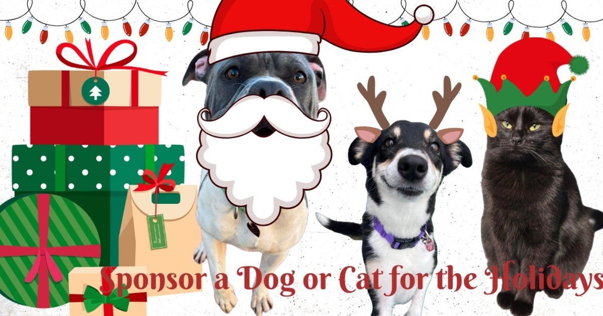 I Heart Dogs Rescue and Animal Haven - Holiday Sponsorship 2024