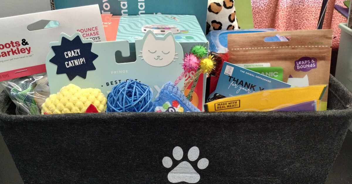 Animal Orphanage - Join Our Raffle and Win a Fun Pet Basket!