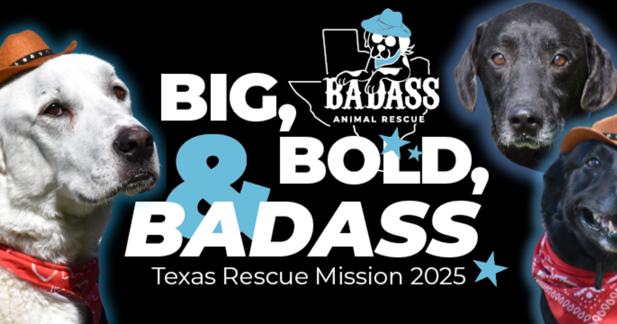 BADASS ANIMAL RESCUE INC - Rescue, Texas Style: Bold, Big, and Badass