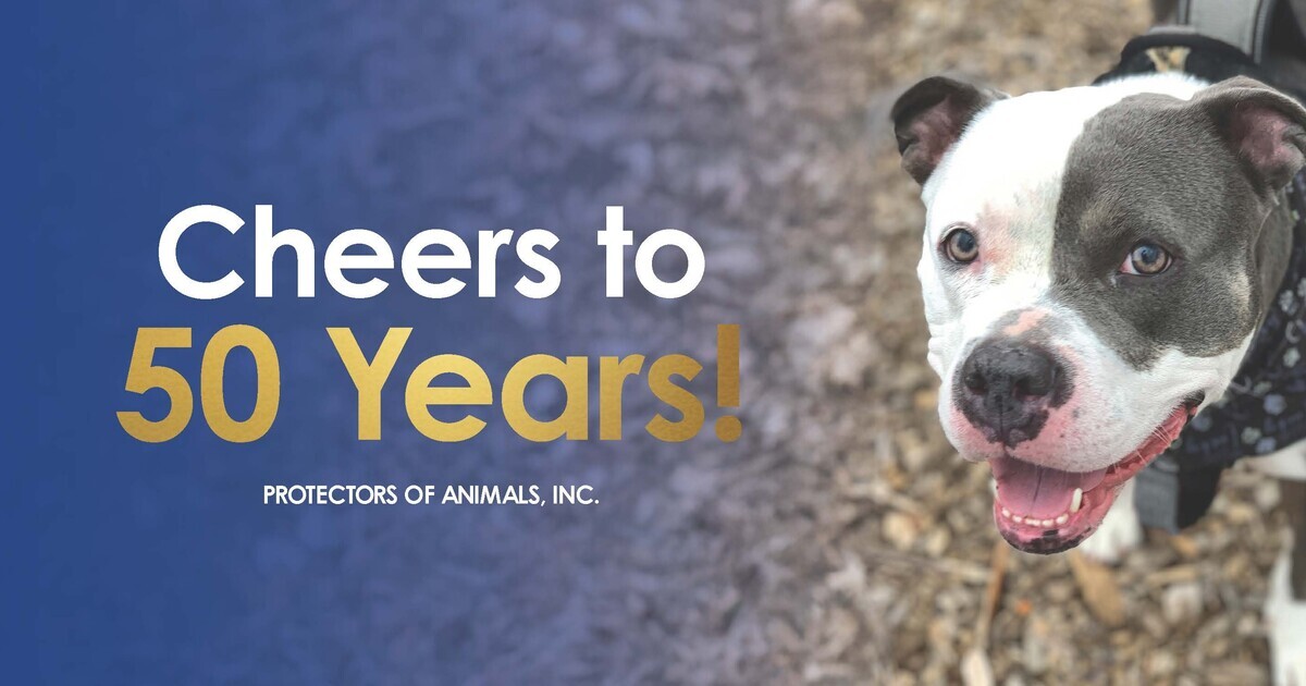 Protectors of Animals Inc. - Cheers to 50 Years!