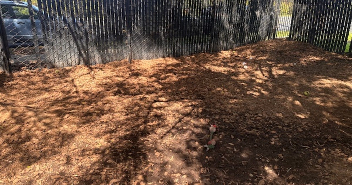 Milo Foundation - Play Yard Improvements