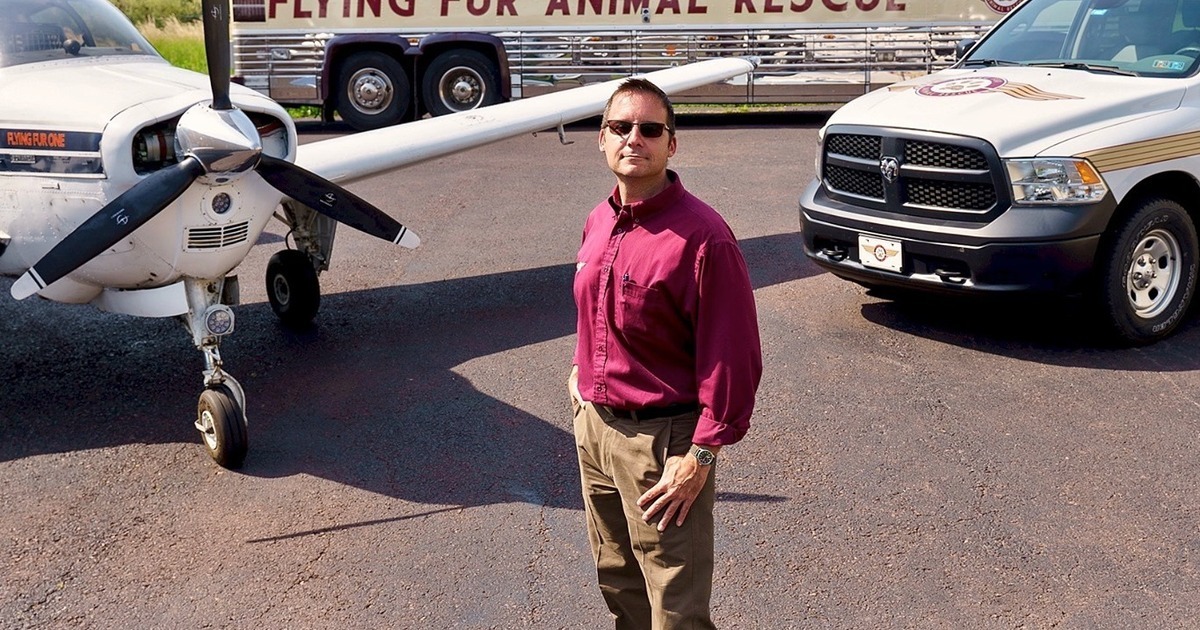 FLYING FUR ANIMAL RESCUE - 10 Year Anniversary