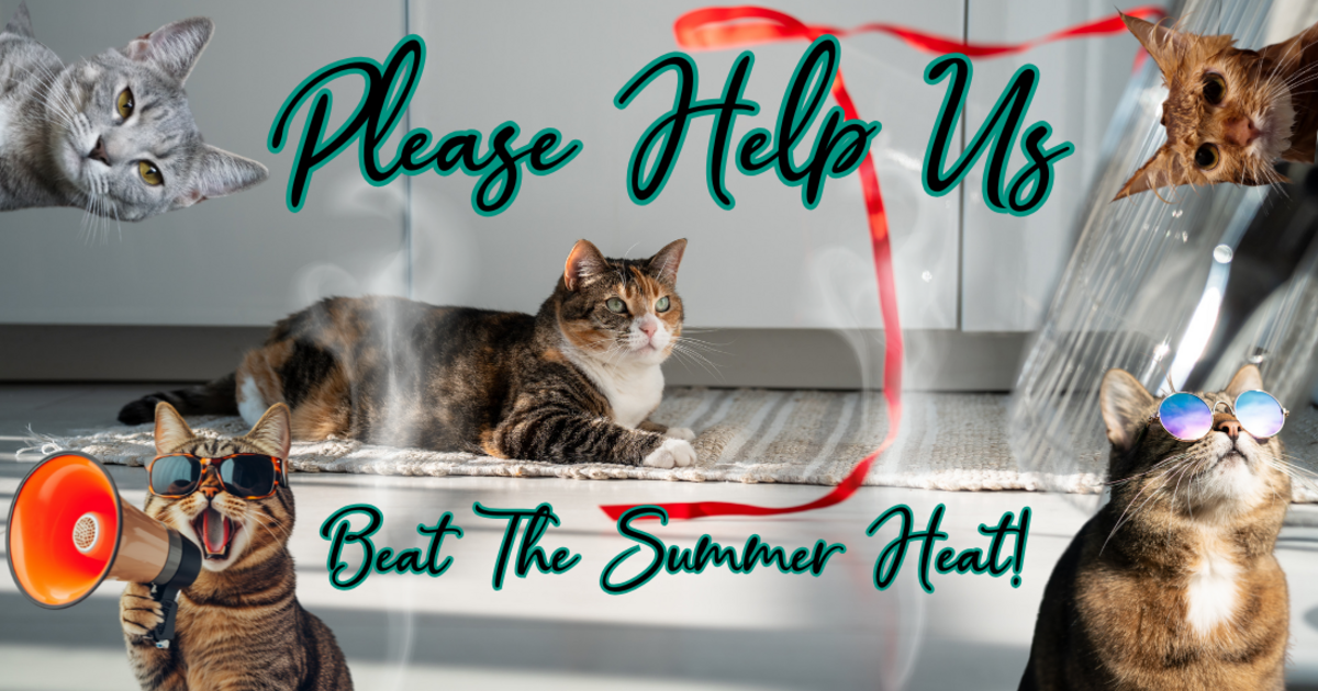 Purrfect Pals - HVAC System Replacement