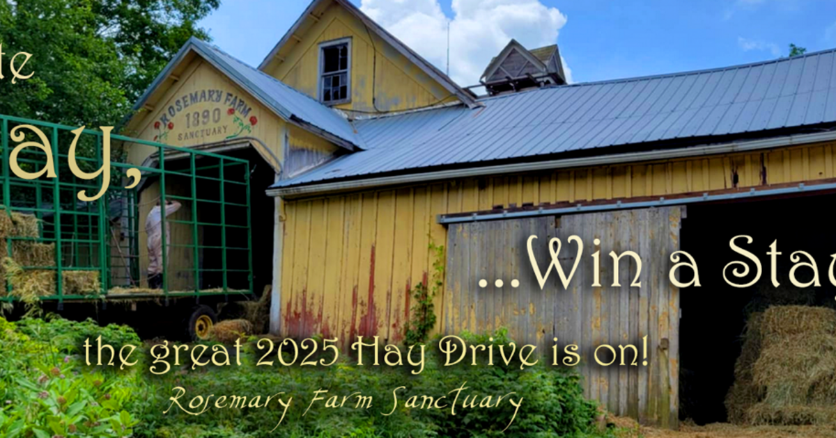 Rosemary Farm Sanctuary Inc. - Donate Hay, Win a Stay