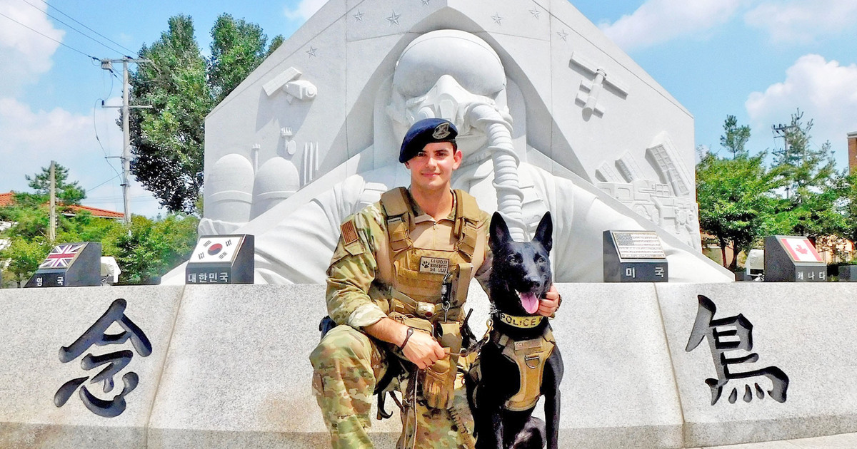 PAWS OF WAR INC - McNamara 2025 Golf Outing