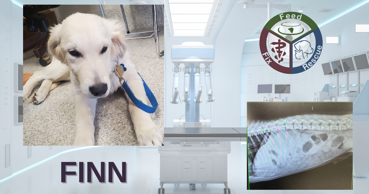 PET PANTRY OF LANCASTER COUNTY INC - Support for Finn's Surgery