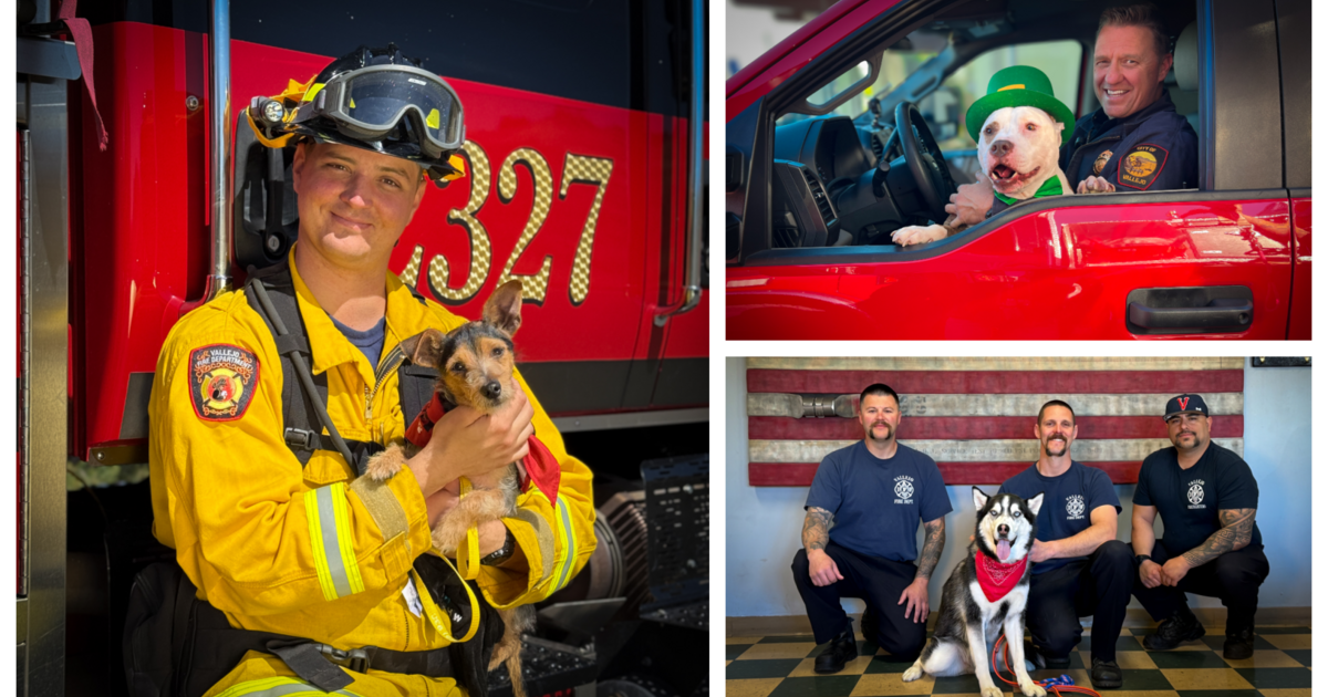 Humane Society of the North Bay - "To the Rescue!” – The 2026 VFD/HSNB ...