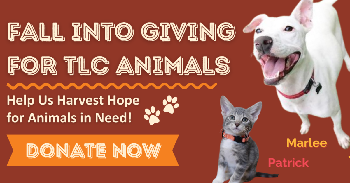TLC Humane Society - Fall into Giving 2025
