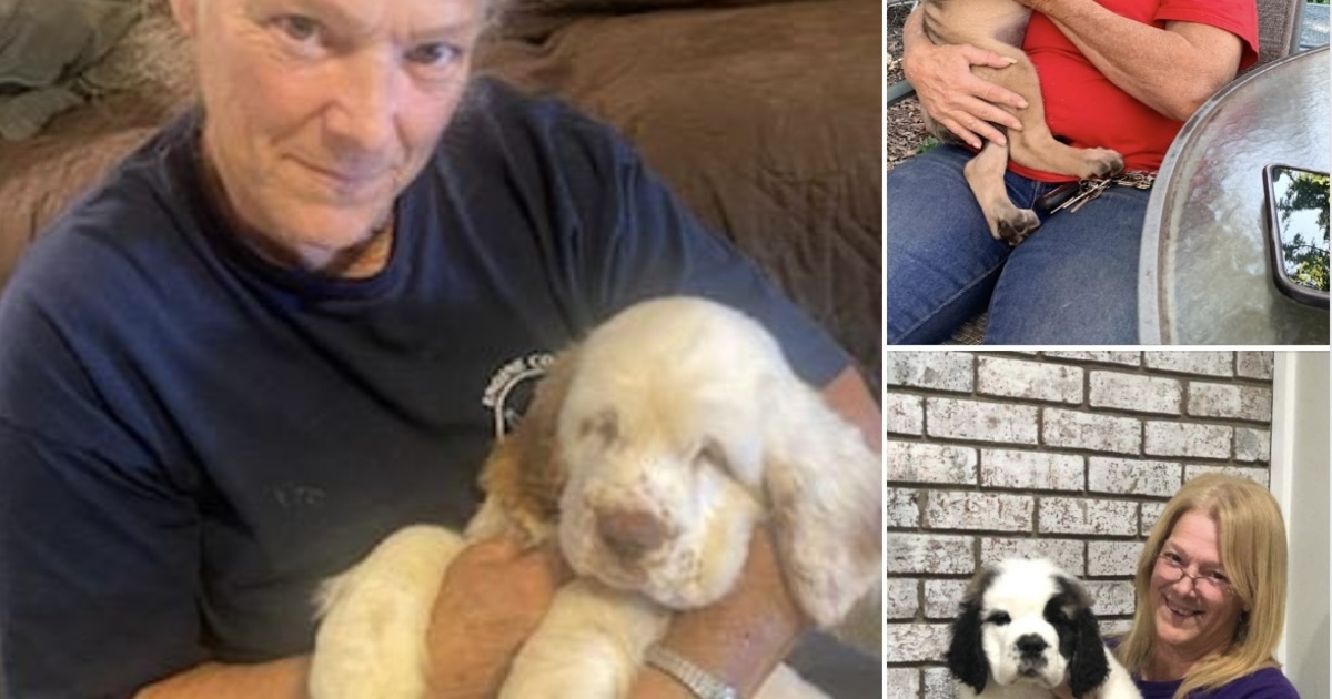 SAVE-A-PET ANIMAL RESCUE INC - In Memory of "Bea" Belinda Wethington-Bell