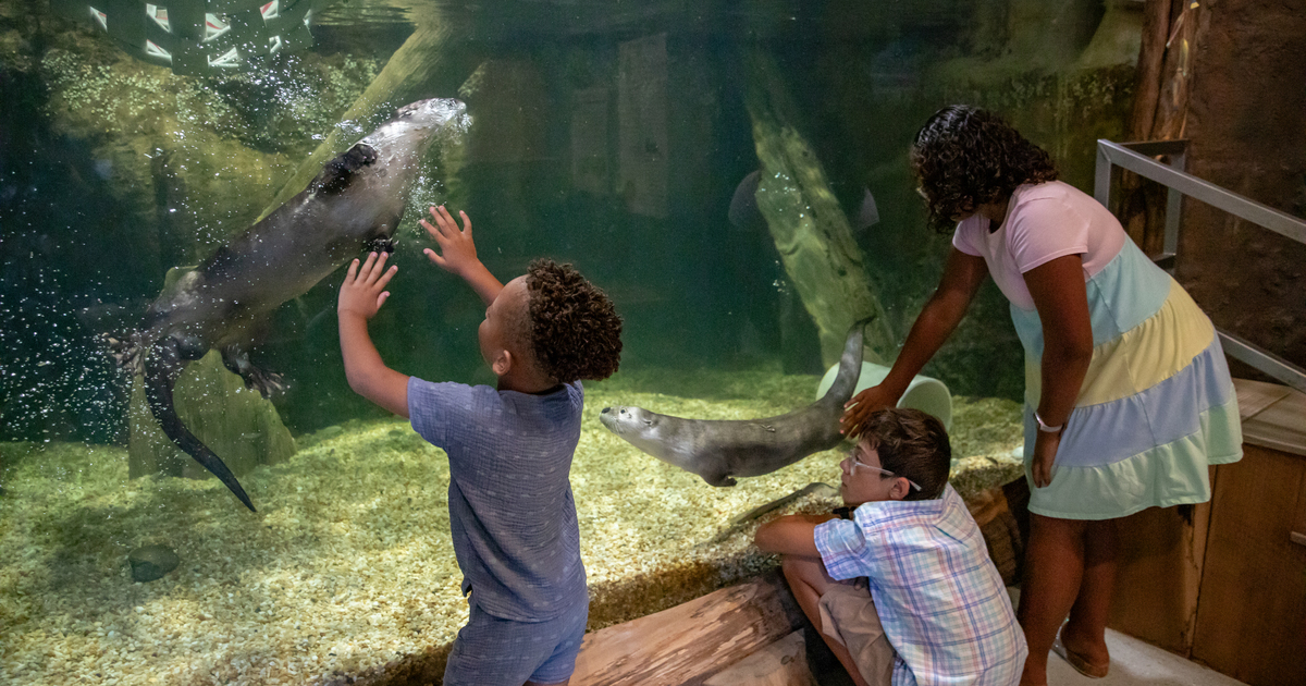 Delmarva Discovery Center & Museum Inc - 2025 Annual Appeal