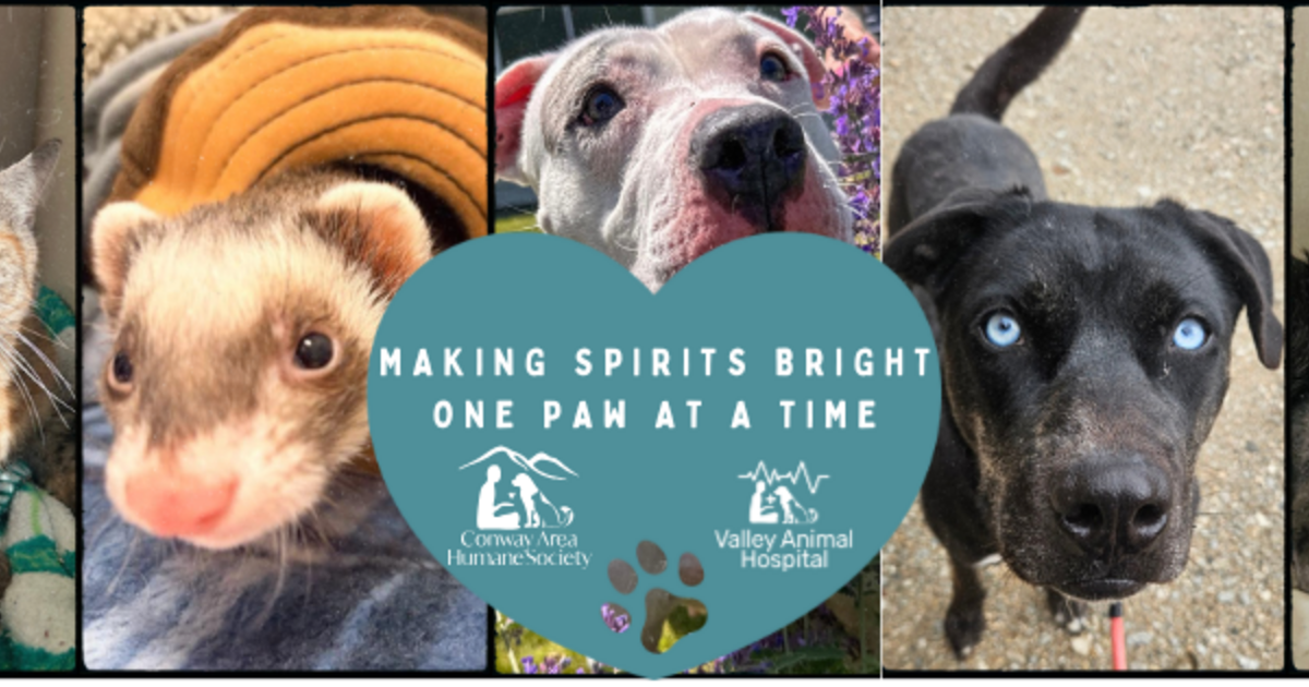 CONWAY AREA HUMANE SOCIETY - Giving Tree 2025