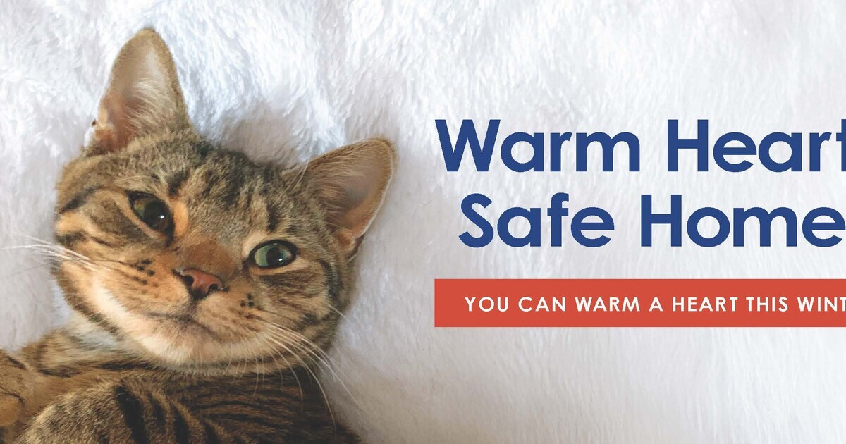 Protectors of Animals Inc. - Warm Hearts, Safe Homes