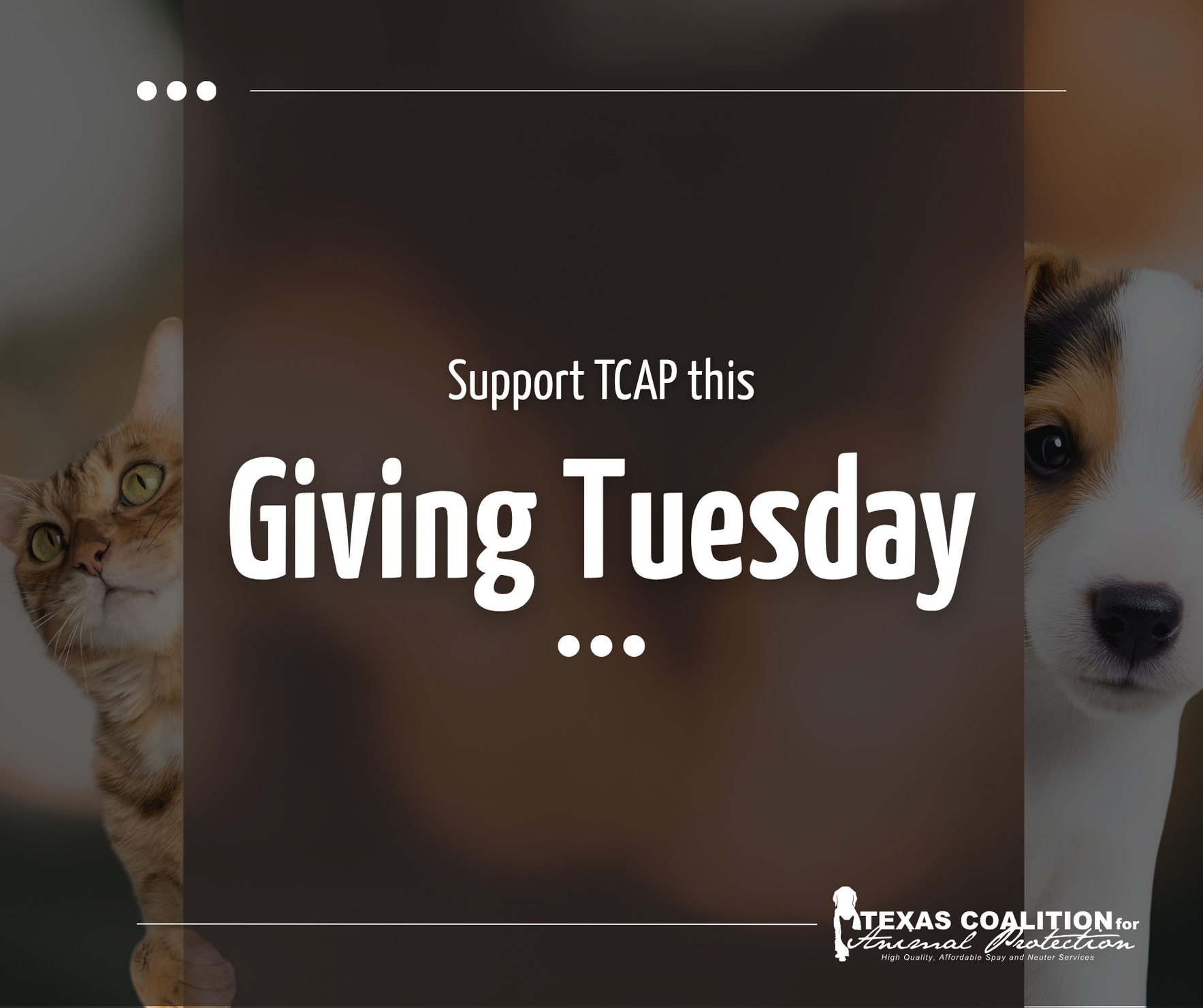 TEXAS COALITION FOR ANIMAL PROTECTION - Giving Tuesday 2025