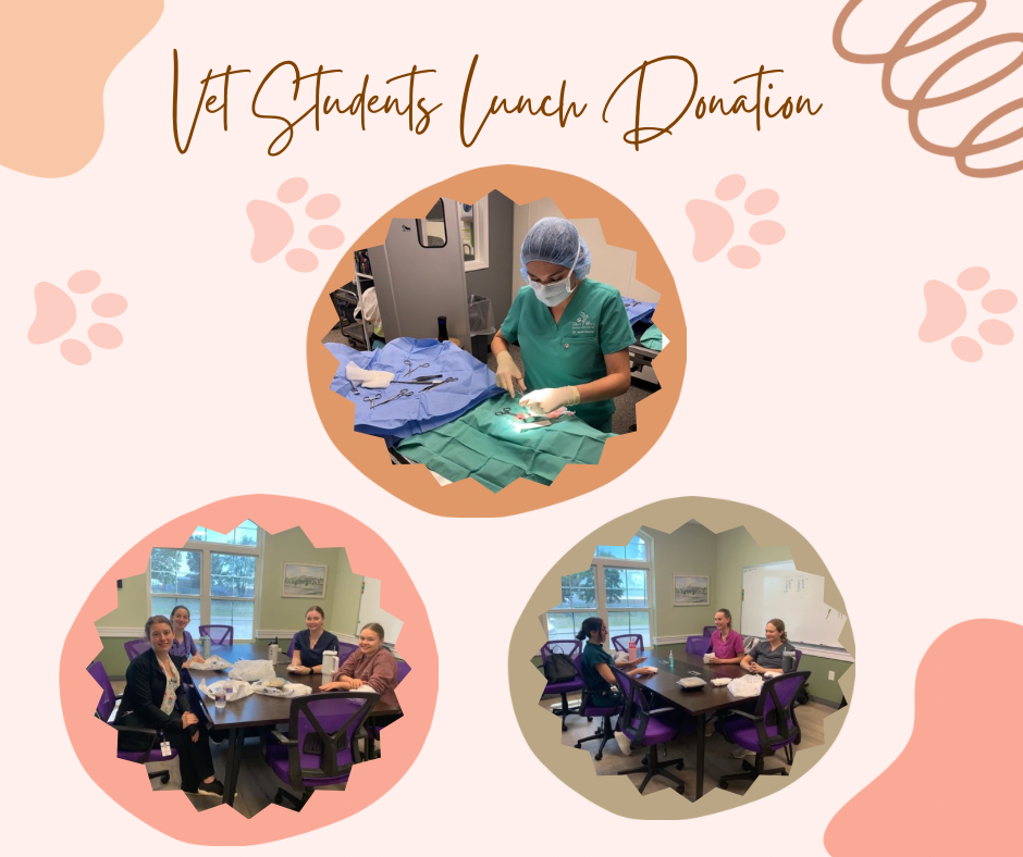 Prairie Paws Animal Shelter, Inc. - KSU Vet Lunches