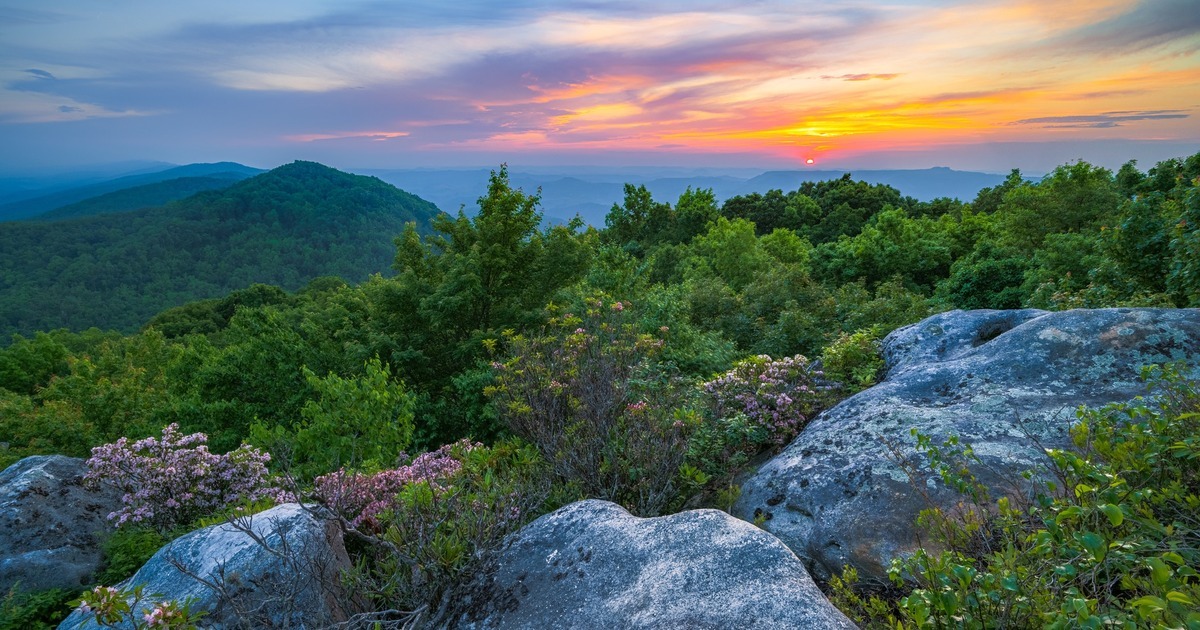 Scenic Virginia, Inc. - Preserve. Protect. Enhance. Enjoy.