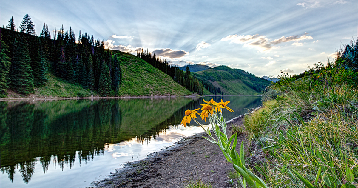 Project Hope of Gunnison Valley - Project Hope General Giving