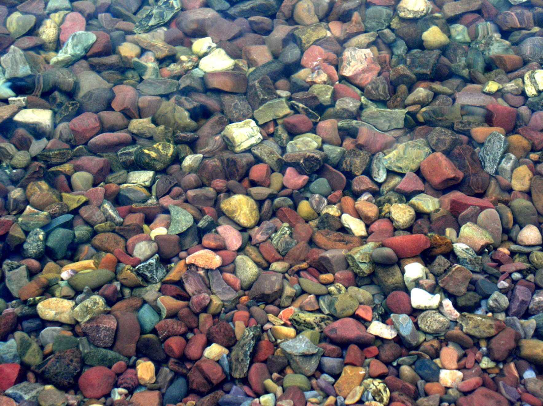Flathead Lake Water Clarity