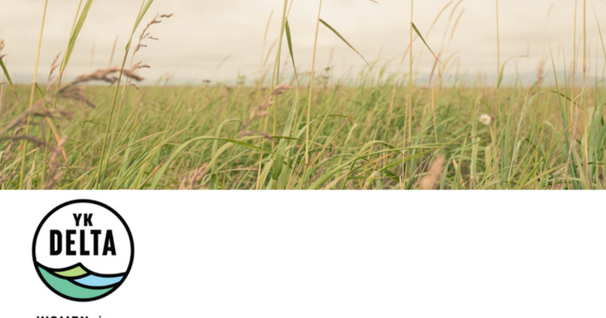 BETHEL COMMUNITY SERVICES FOUNDATION INC - YK Delta Women in ...