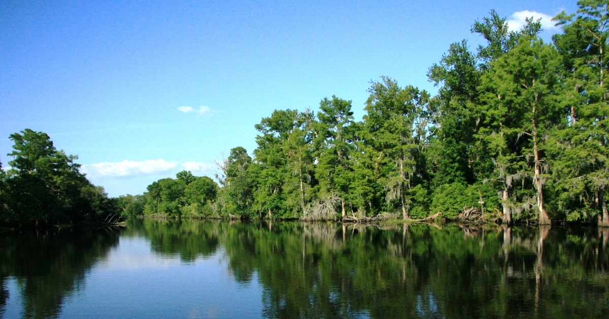 Pontchartrain Conservancy - Honor Memorial Donation