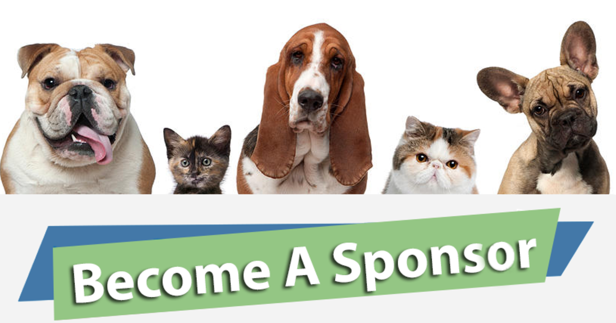 Eleventh Hour Rescue - Sponsor a Dog or Cat