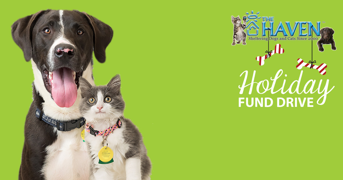 THE HAVEN - Holiday Fund Drive 2019