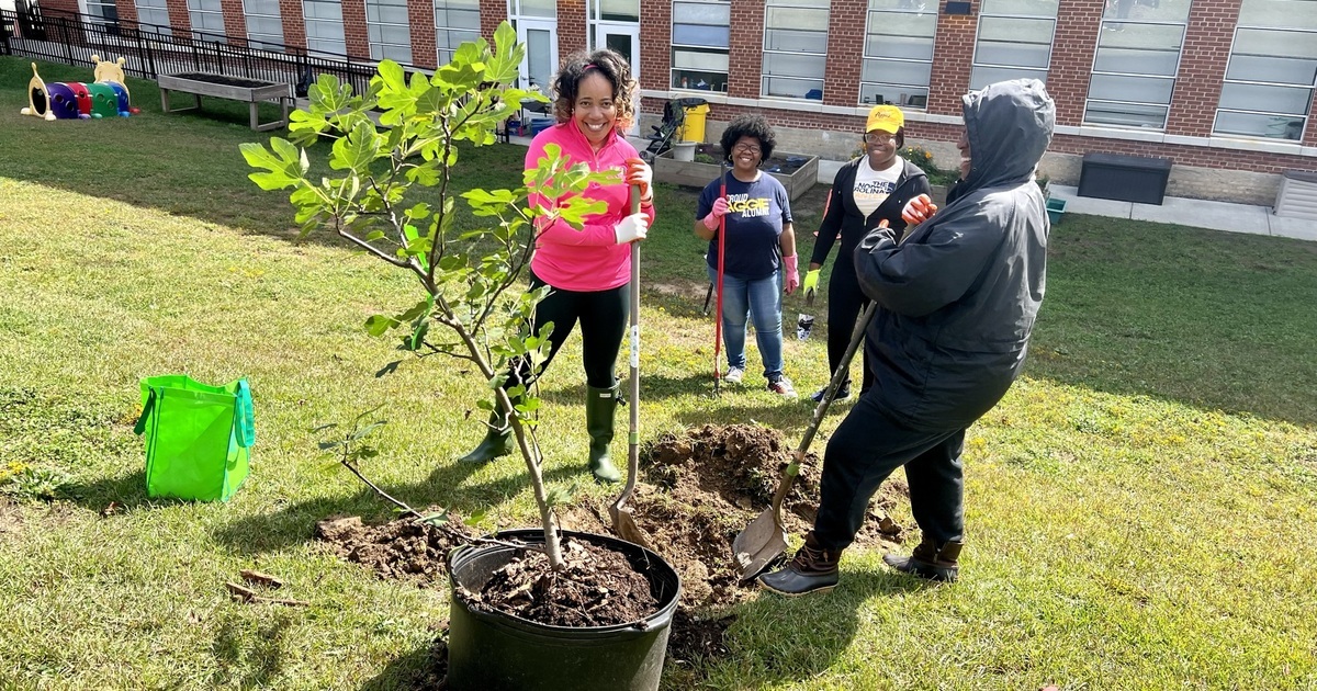 Keep Durham Beautiful Inc - Dedicate a Tree