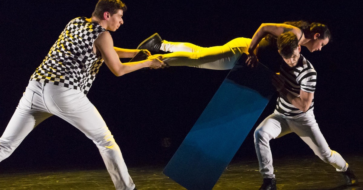 Hedwig Dances Inc - Gaylord & Dorothy Donnelley Foundation Challenge