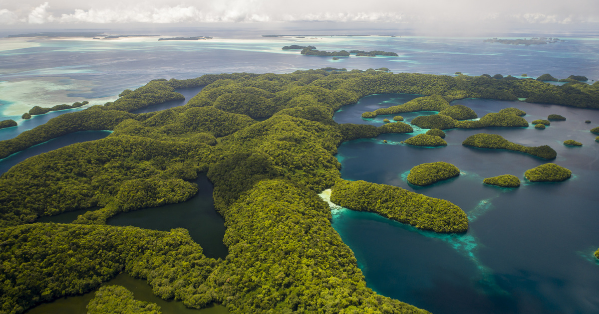 Mission Blue - Support Mission Blue Hope Spots