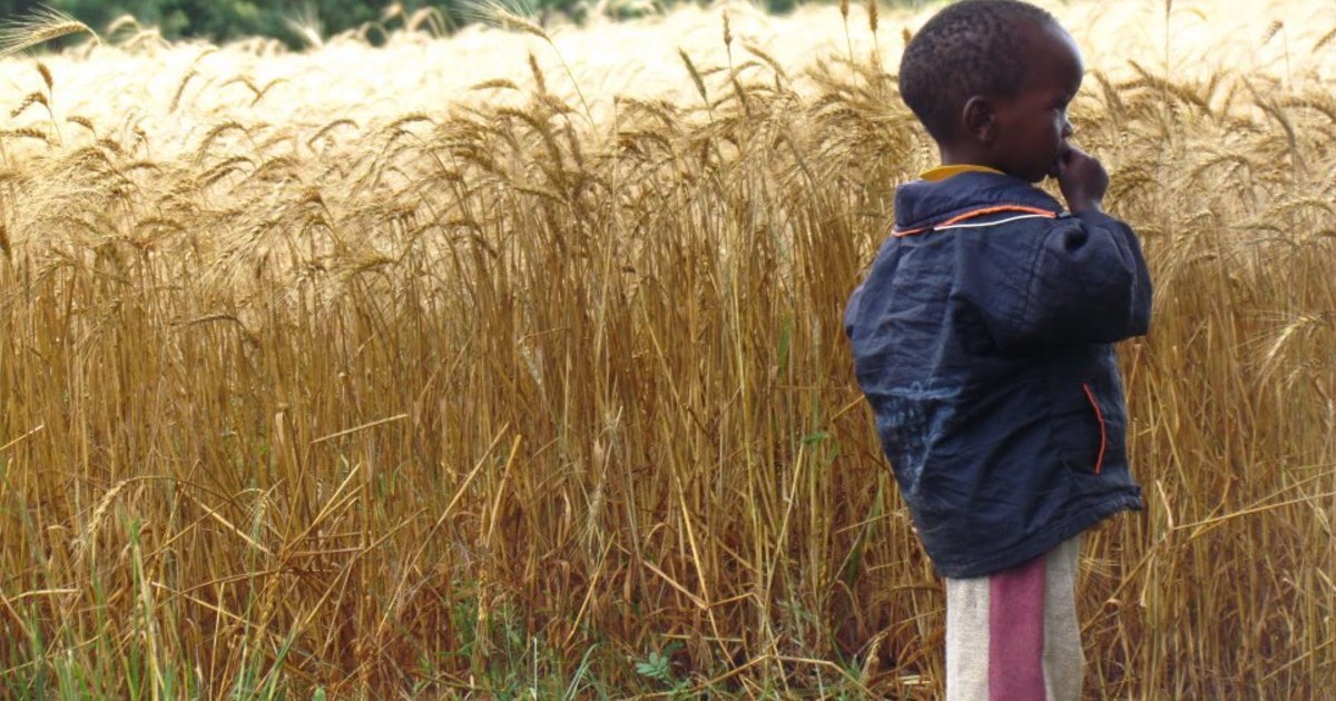 Mama Ada Foundation - Let's Give Scholarships & Seeds!